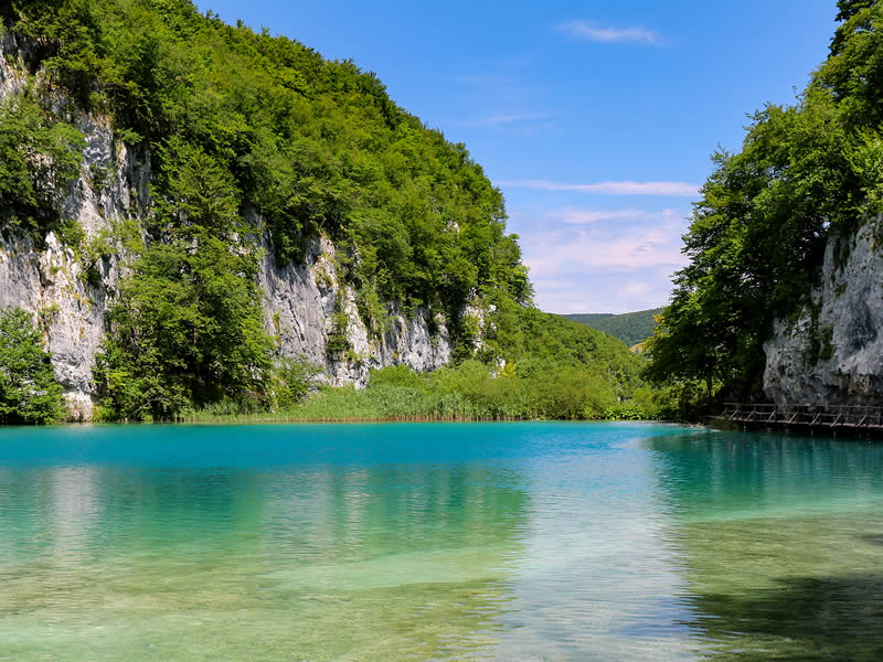 Home - Moliva - Travel & Tours Bootstrap HTML Template